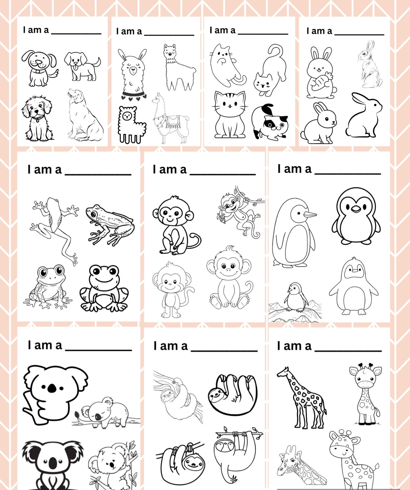 Colour in Animals 30 Pages - Etsy
