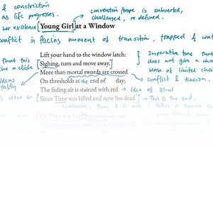 HSC English Advanced Notes All Modules Complete Notes With Tips - Etsy