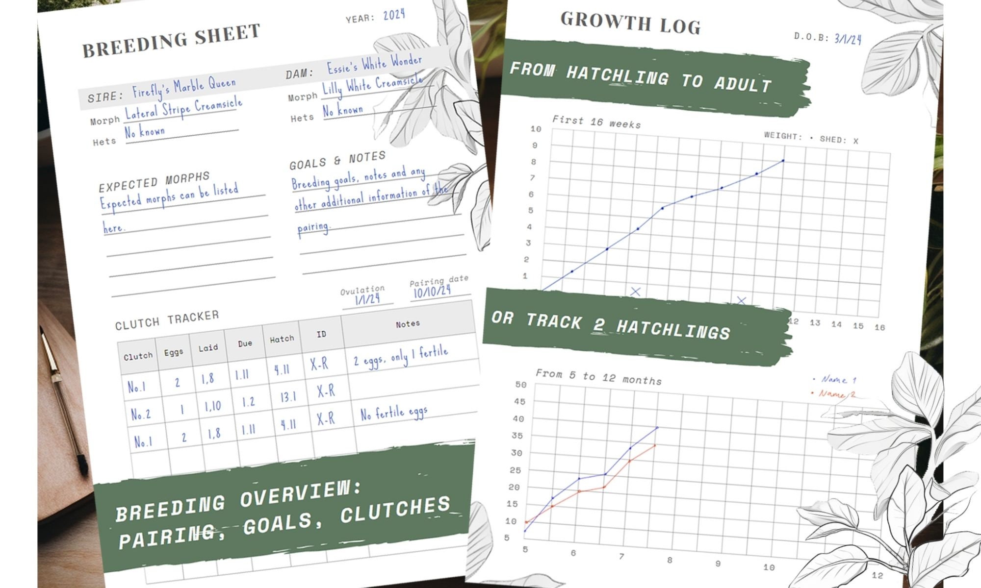 Leopard Gecko Care Diary, 2024 Reptile Logbook Calendar A5 Paper ...