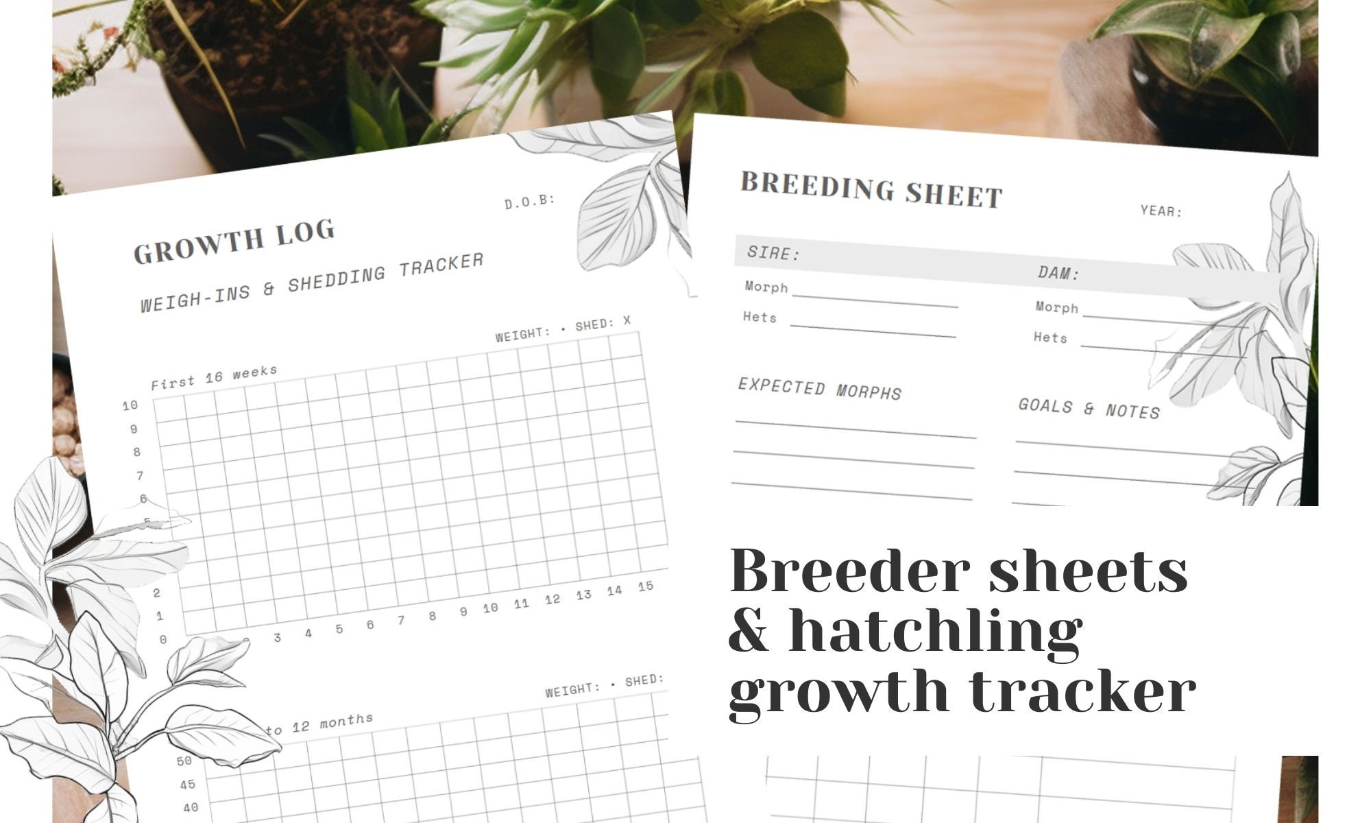 Leopard Gecko Care Diary, 2024 Reptile Logbook Calendar A5 Paper ...