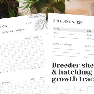 Crested Gecko Care Diary, Reptile Logbook Calendar A5 & US Letter Paper ...