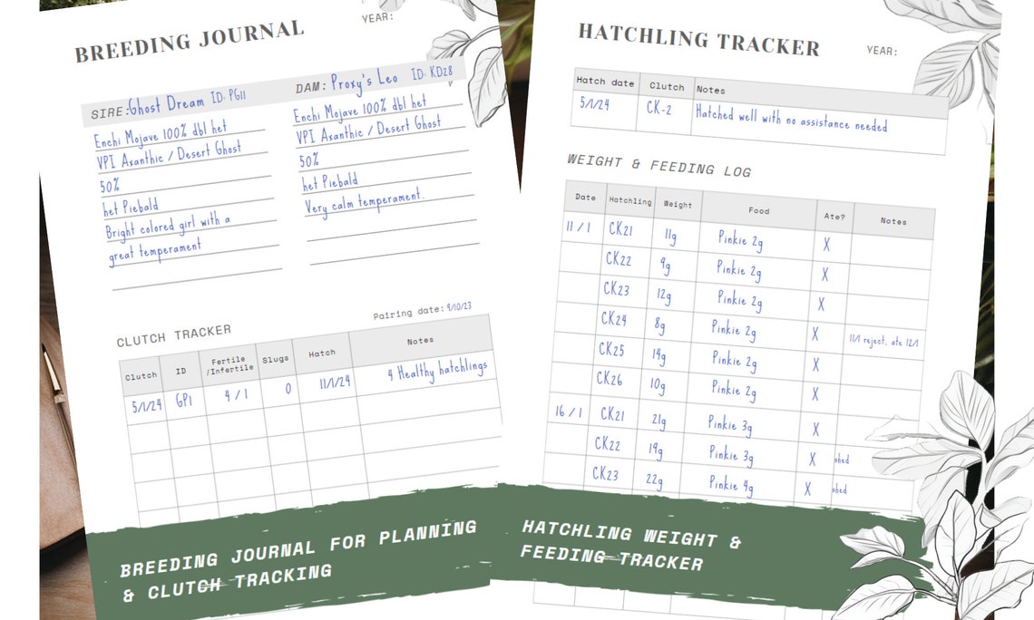 Ball Python Care Diary, Reptile Logbook Calendar A5 & US Letter Paper ...