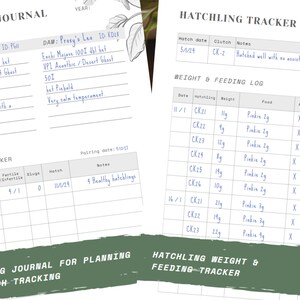 Ball Python Care Diary, Reptile Logbook Calendar A5 & US Letter Paper ...