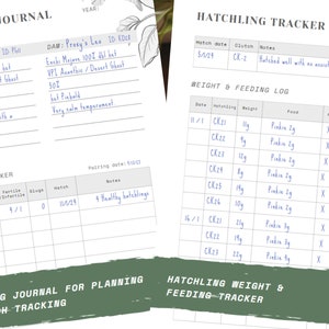 Corn Snake Care Diary, Reptile Logbook Calendar A5 & US Letter Paper ...