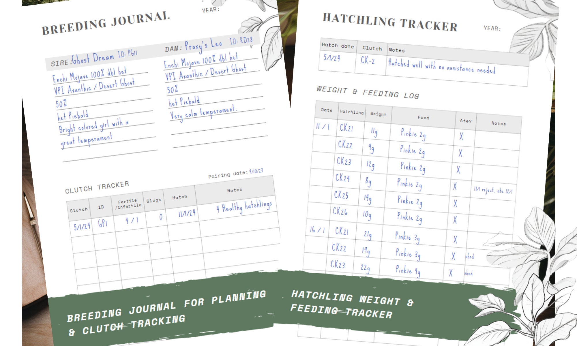 Corn Snake Care Diary, Reptile Logbook Calendar A5 & US Letter Paper ...