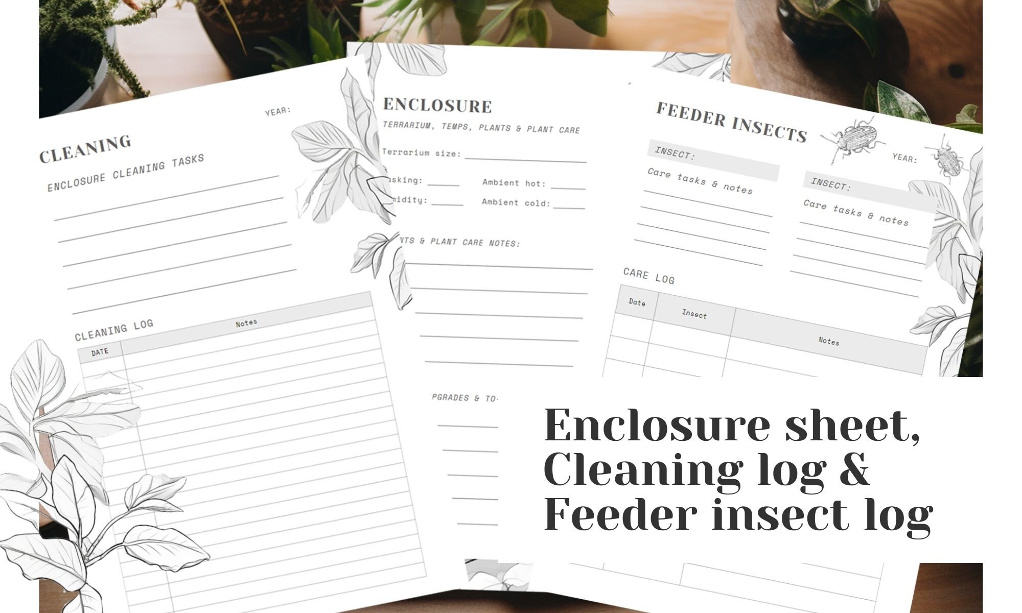 Leopard Gecko Care Diary, 2024 Reptile Logbook Calendar A5 Paper ...