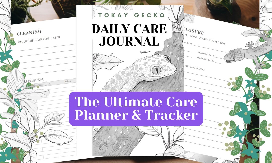 Tokay Gecko Care Diary, Reptile Logbook Calendar A5, A4 & US Letter ...