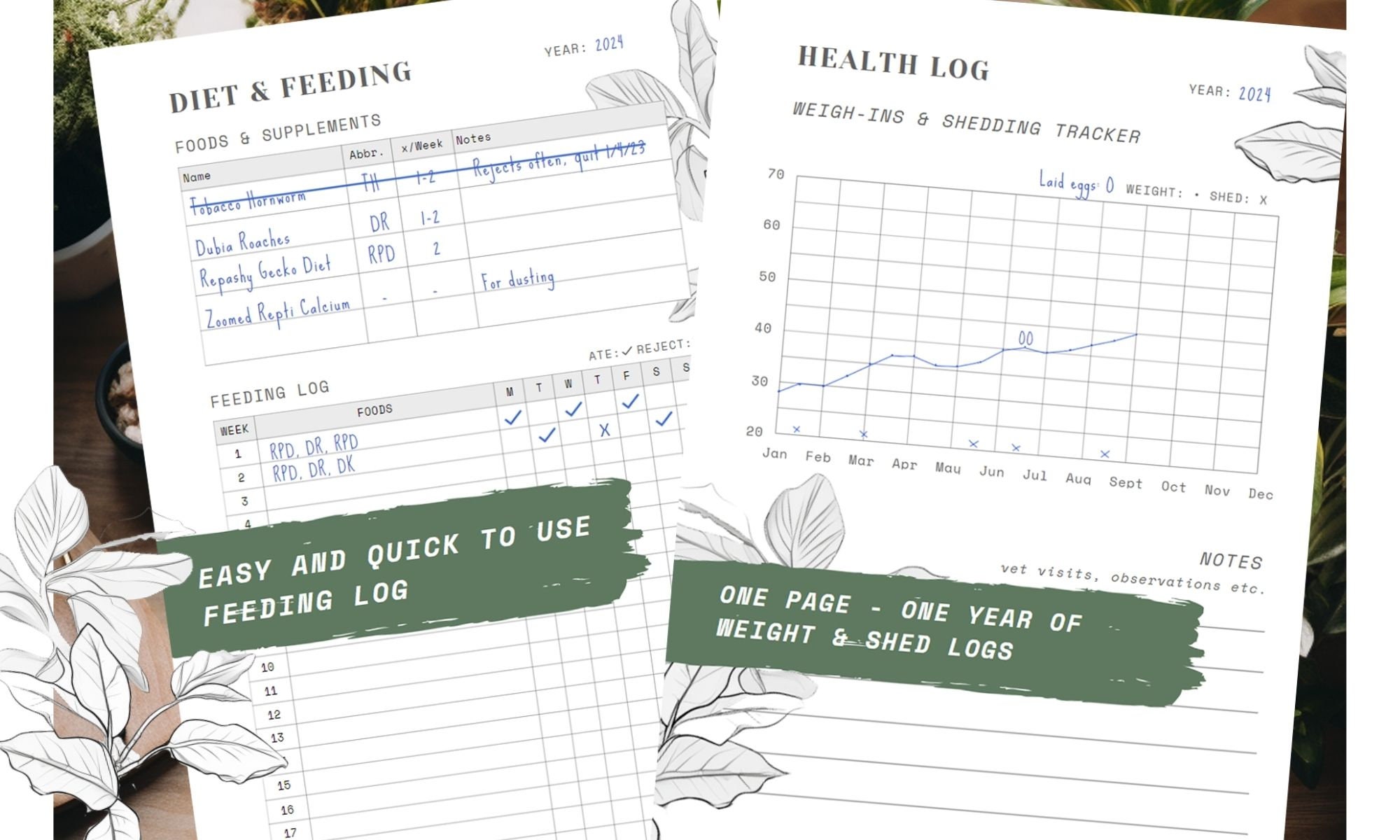 Leopard Gecko Care Diary, 2024 Reptile Logbook Calendar A5 Paper ...