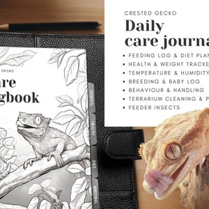 Crested Gecko Care Diary, Reptile Logbook Calendar A5 & US Letter Paper ...