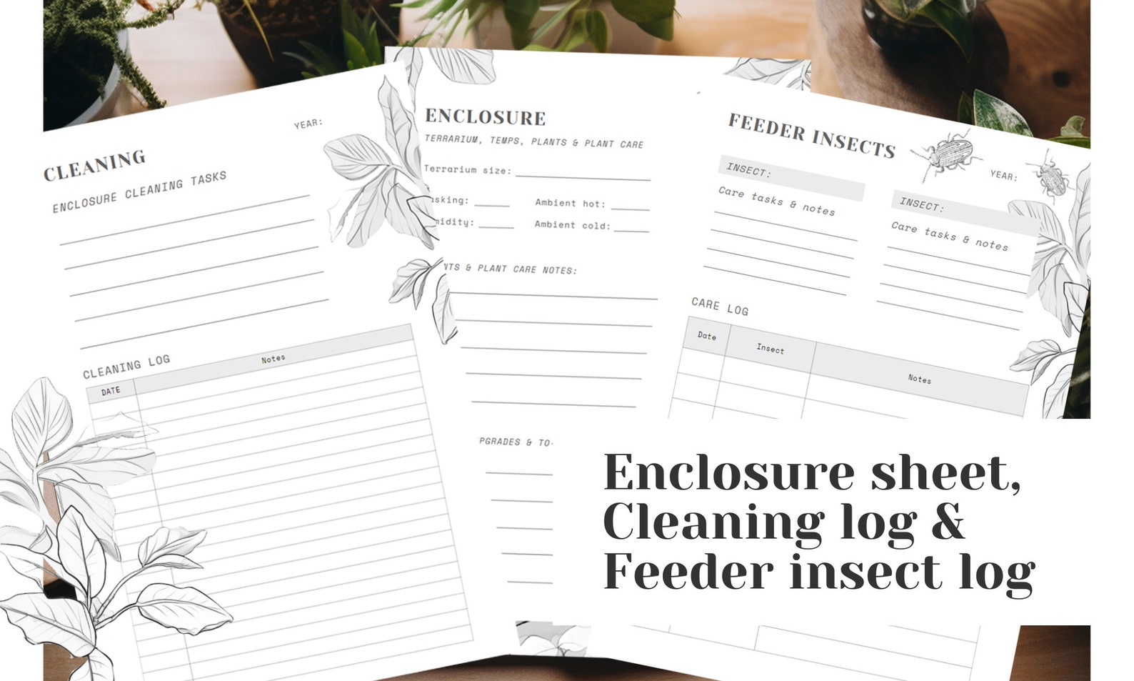 Crested Gecko Care Diary, Reptile Logbook Calendar A5 & US Letter Paper ...