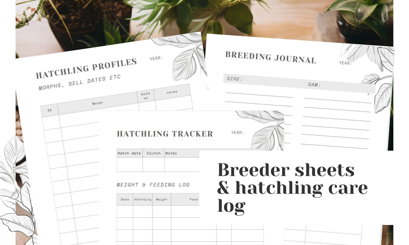 Corn Snake Care Diary, Reptile Logbook Calendar A5 & US Letter Paper ...