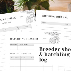 Corn Snake Care Diary, Reptile Logbook Calendar A5 & US Letter Paper ...