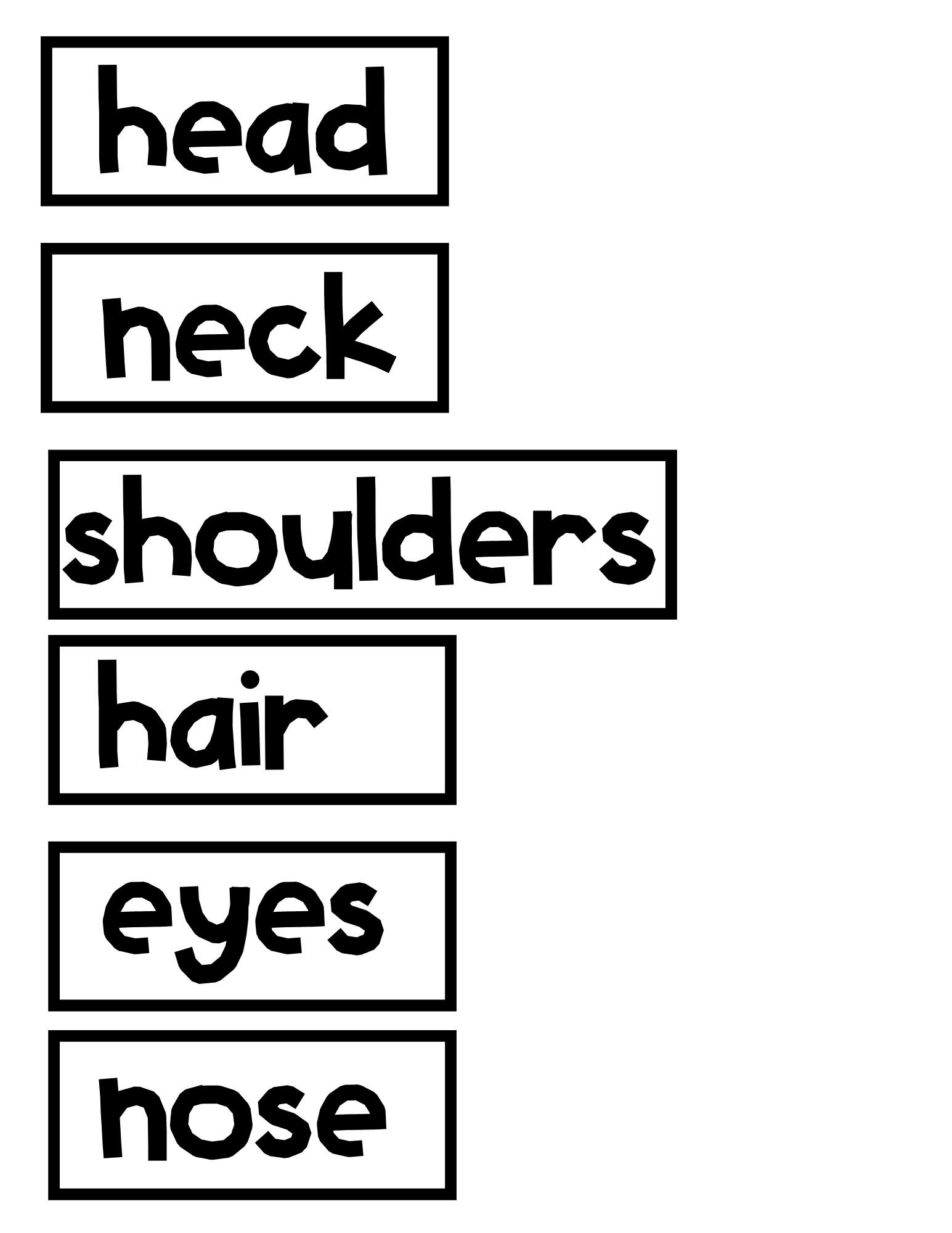 My Body Bulletin Board Display Pack - Etsy