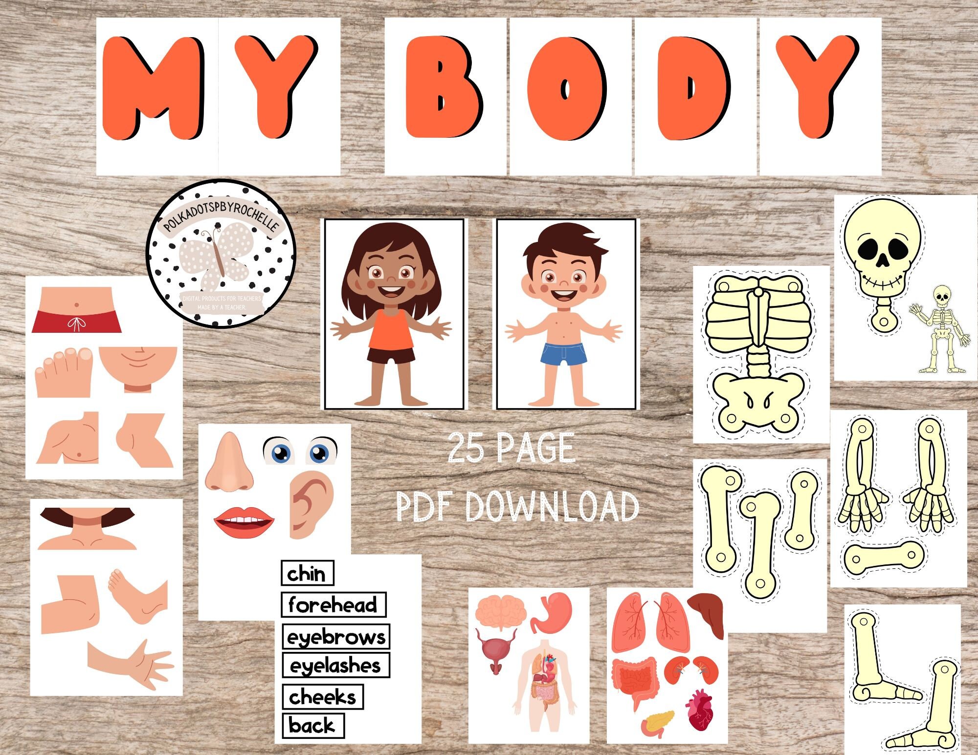 My Body Bulletin Board Display Pack - Etsy