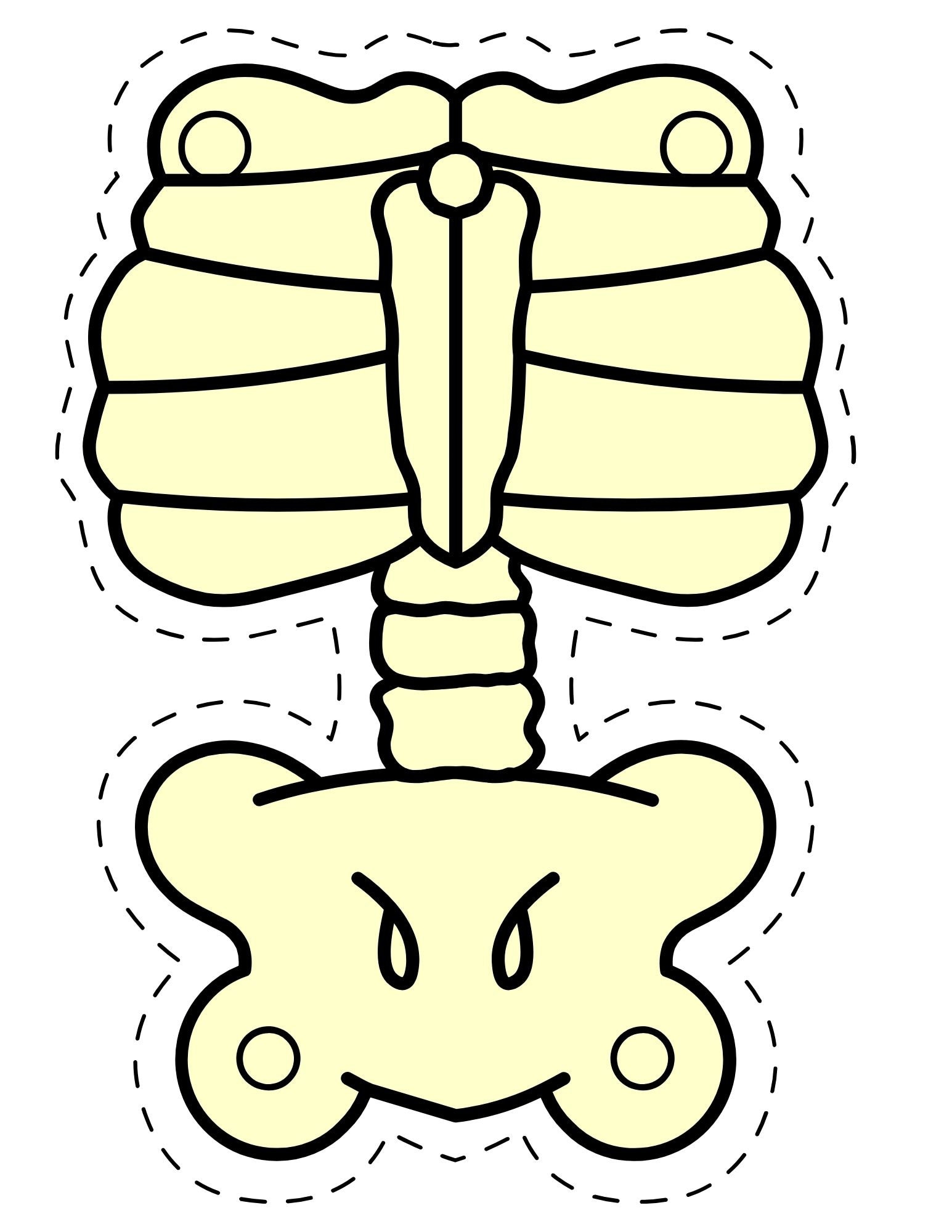 My Body Bulletin Board Display Pack - Etsy