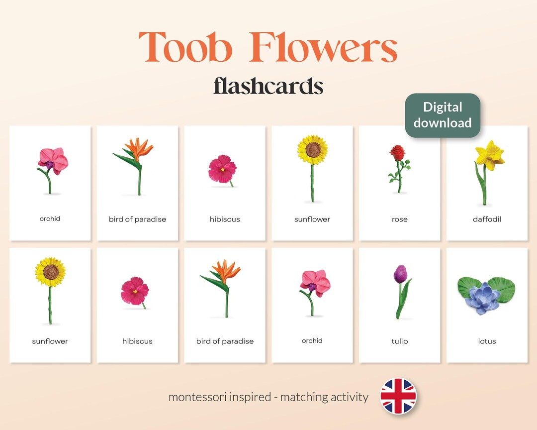 Safari Ltd. TOOB FLOWERS - 8 A6 Montessori Matching Cards - Printables ...