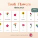 Flowers Toob - Safari LTD Identification Cards - Etsy Canada