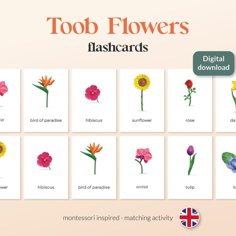 Educational Cards - Etsy