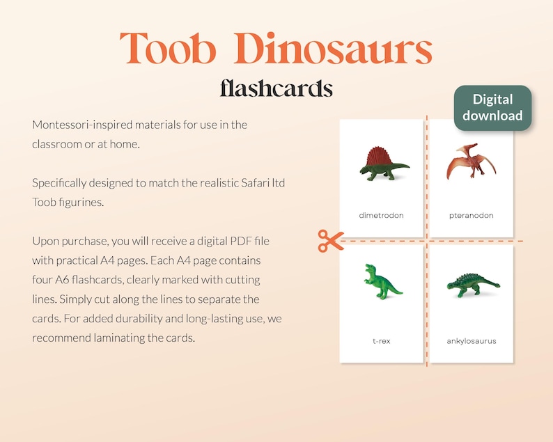 Safari Ltd. TOOB Dinosaurs - 12 A6 Montessori Matching Cards ...