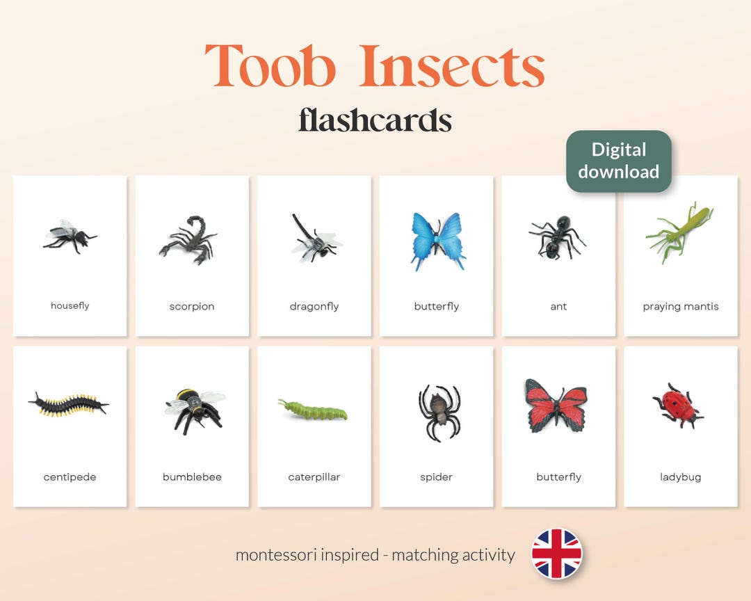 Safari Ltd. TOOB INSECTS - 14 A6 Montessori Matching Cards - Printables ...