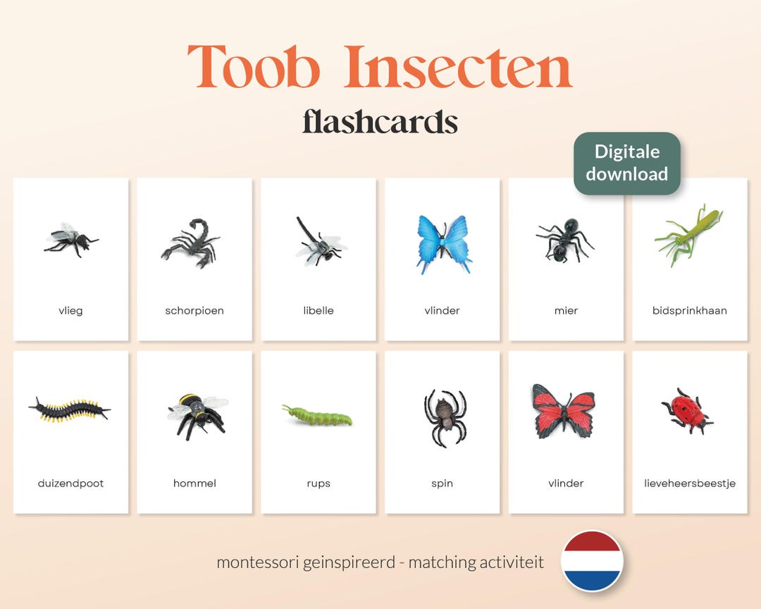 Safari Ltd. TOOB INSECTS - 14 A6 Montessori Flashcards - Matching ...