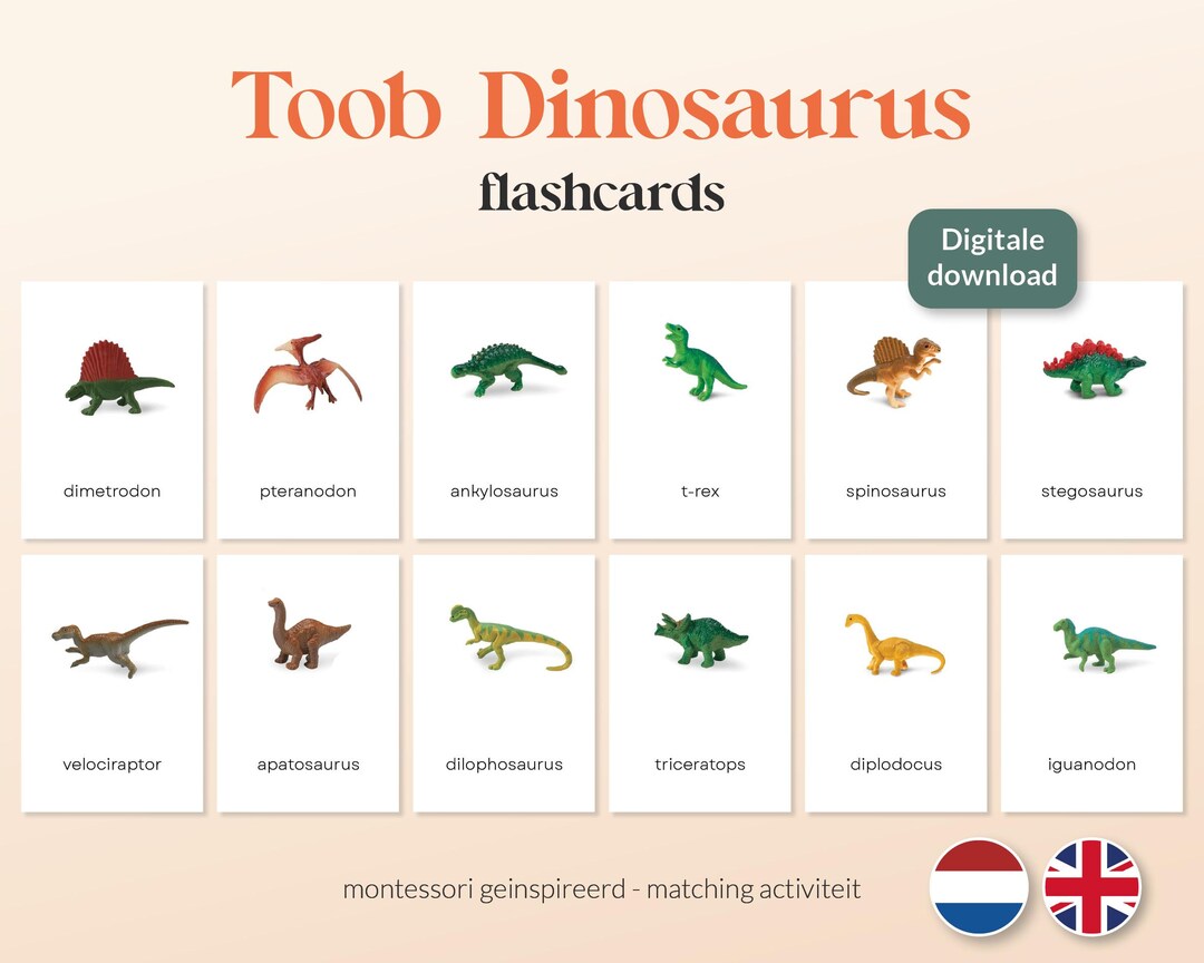 Safari Ltd. TOOB Dinosaurs - 12 A6 Montessori Matching Cards ...
