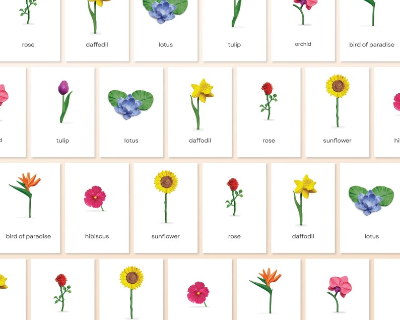 Safari Ltd. TOOB FLOWERS - 8 A6 Montessori Matching Cards - Printables ...
