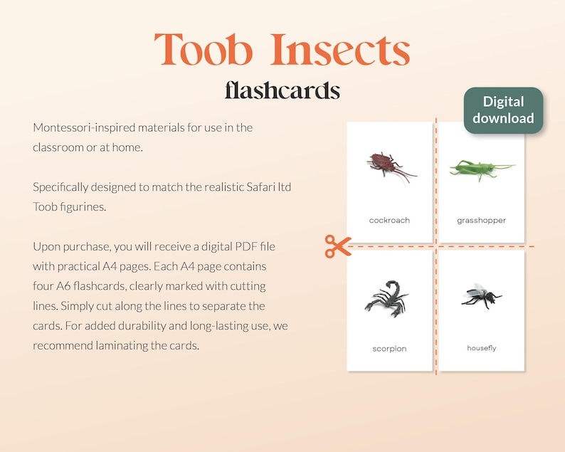 Safari Ltd. TOOB INSECTS - 14 A6 Montessori Matching Cards - Printables ...