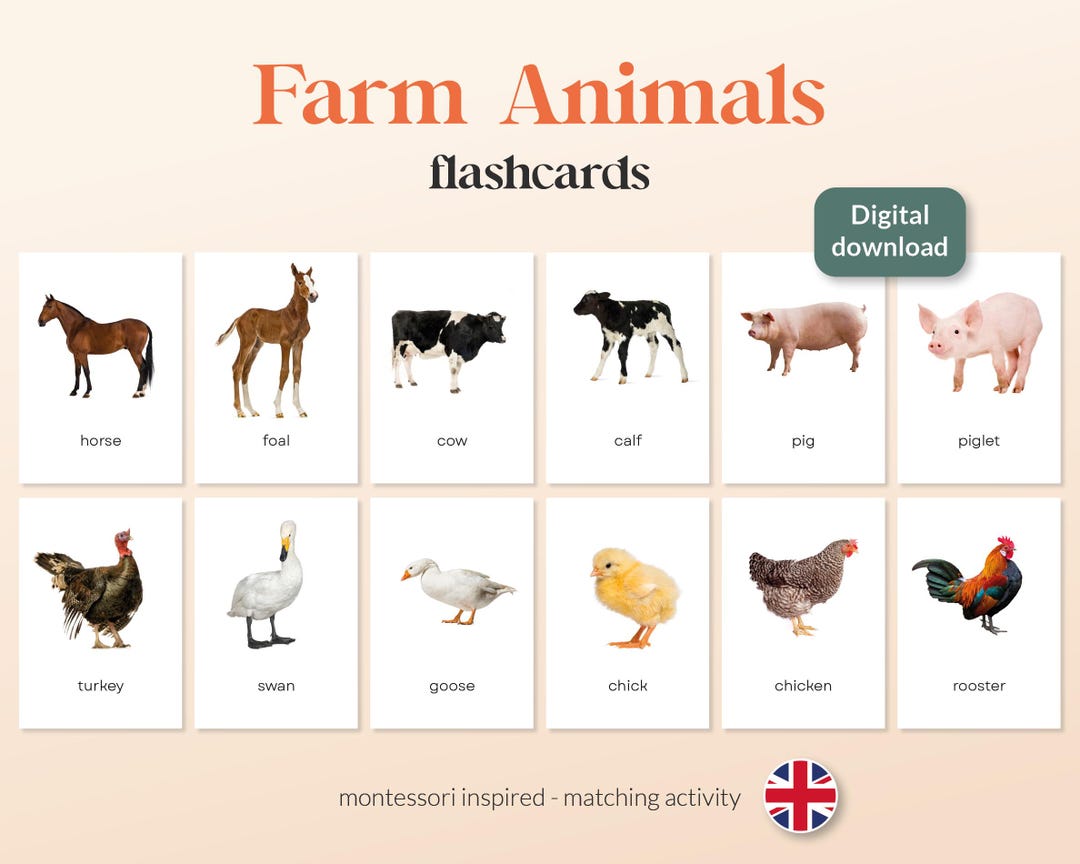 FARM ANIMALS - 24 A6 Montessori Flashcards - Printables - English - Etsy