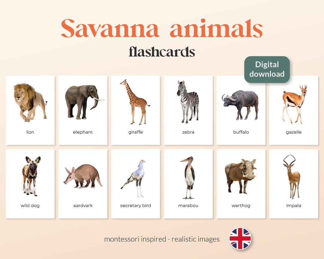 SAVANNA ANIMALS - 27 A6 Montessori Flashcards - Printables - English - Etsy