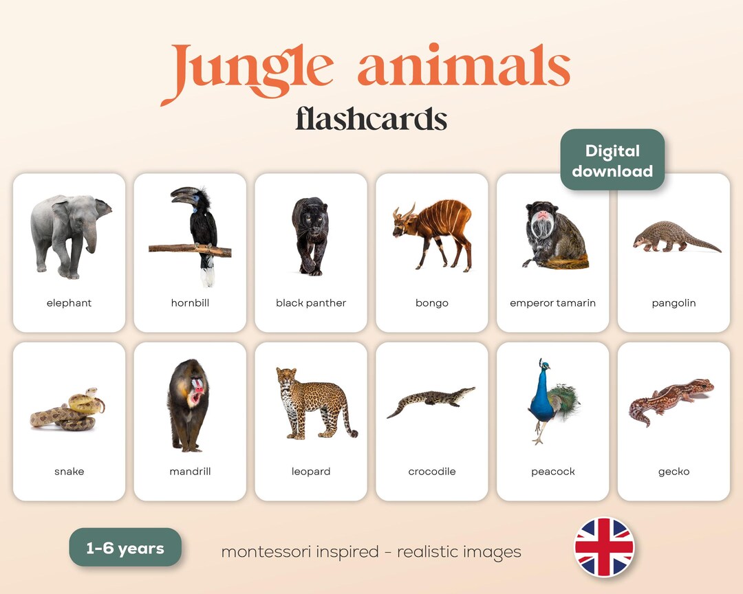 JUNGLE ANIMALS - 22 A6 Montessori Flashcards - Printables - English - Etsy