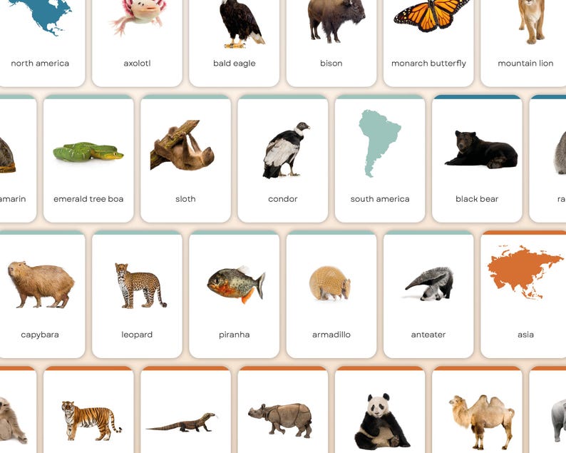 CONTINENTS AND ANIMALS - 57 A6 Montessori Flashcards - Printables ...