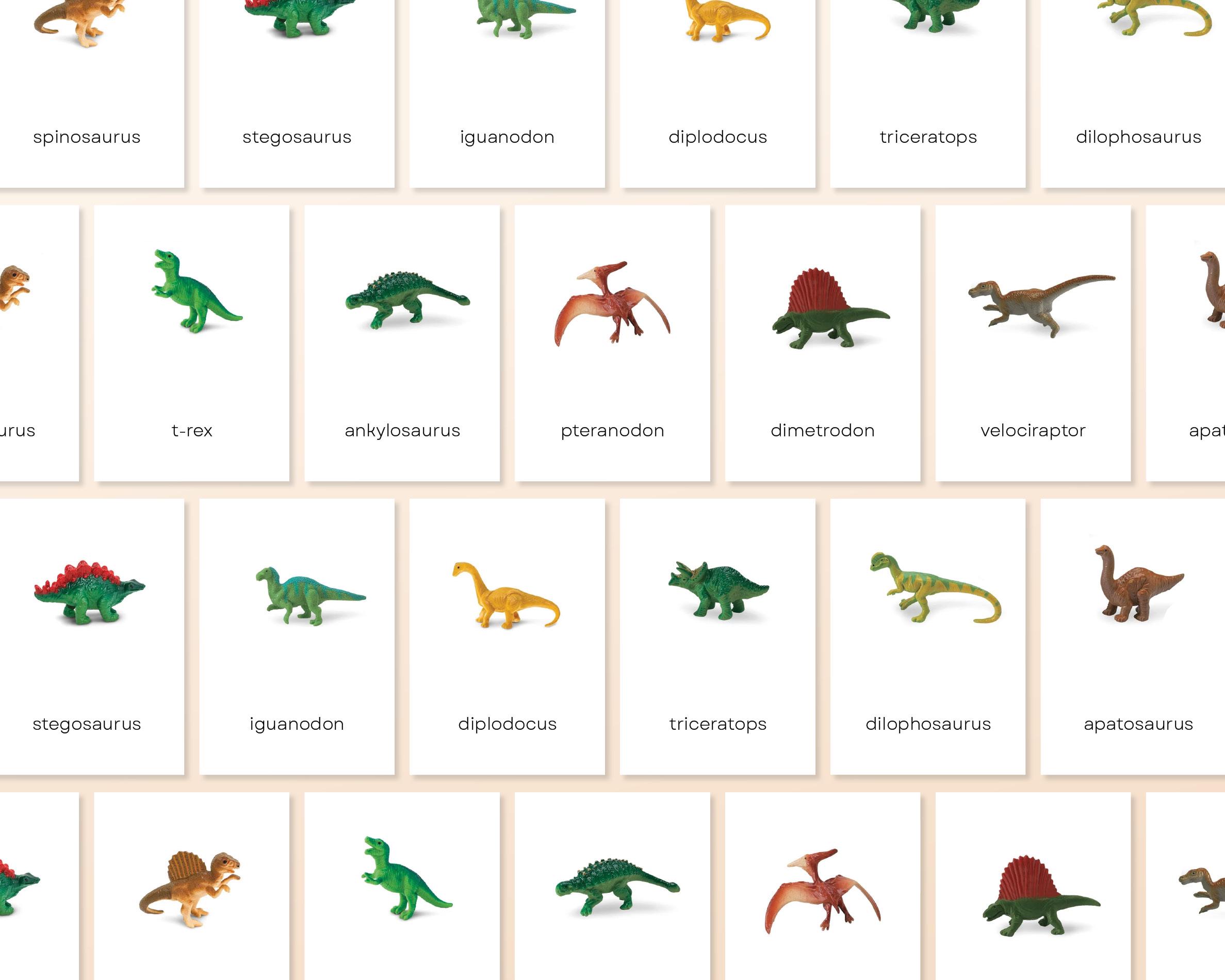 Safari Ltd. TOOB Dinosaurs - 12 A6 Montessori Matching Cards ...