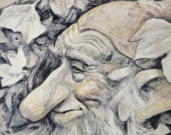 Brian Froud, Faeries, Fairy, Faries, Fantasy Art, 2000 Vintage Book ...