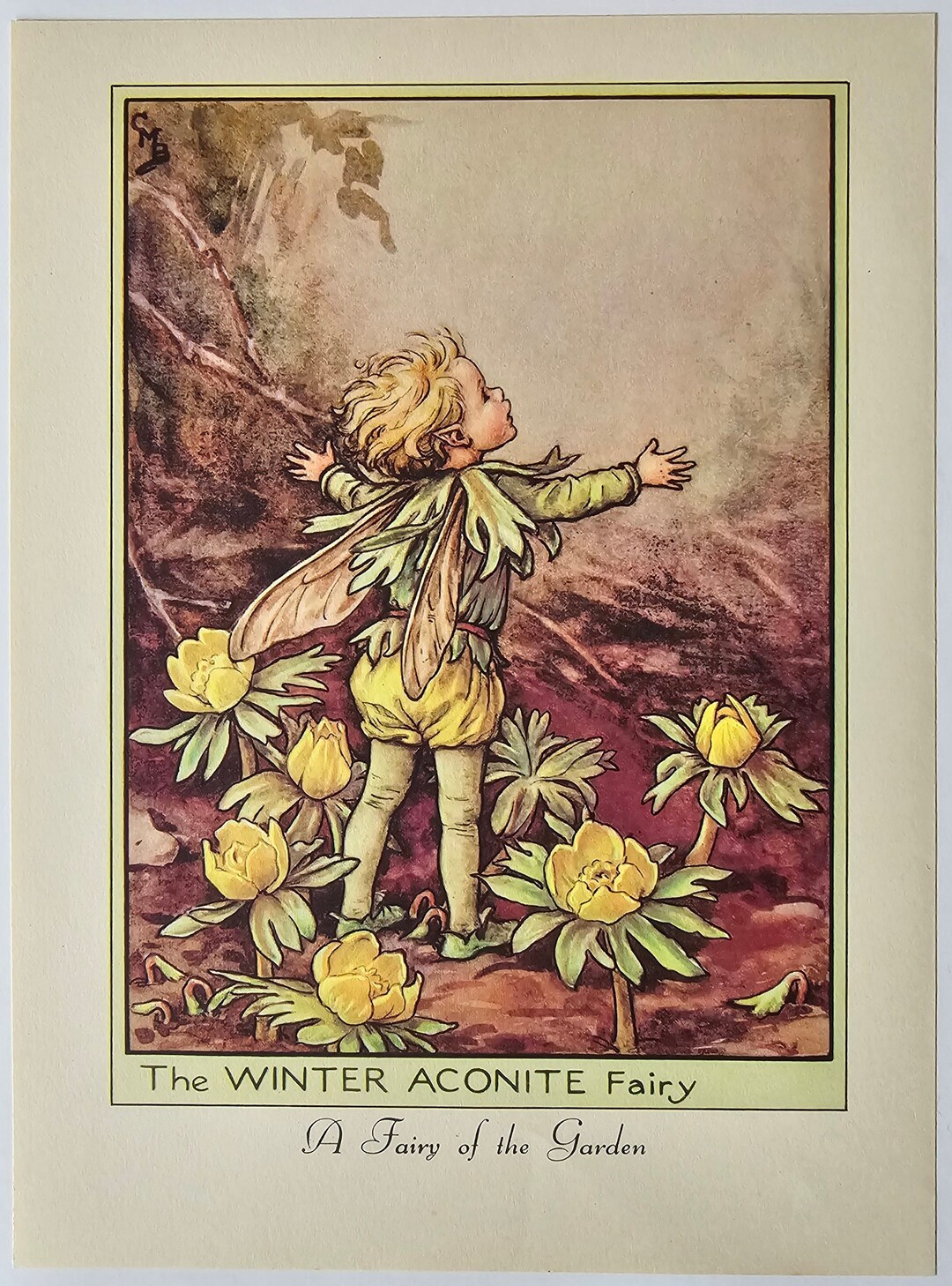 Flower Fairies, Cicely Mary Barker, the Winter Aconite Fairy, Fantasy ...