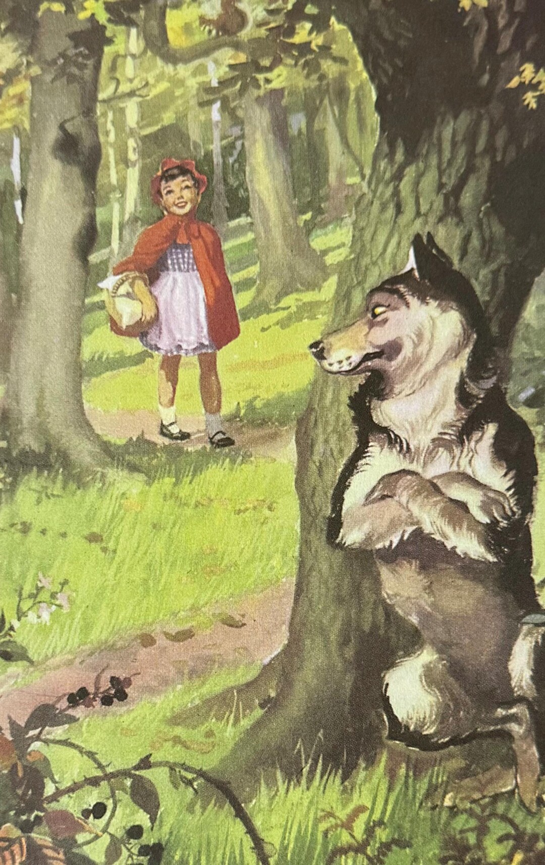 Little Red Riding Hood, the Big Bad Wolf Hiding Behind Tree, 2000’s ...