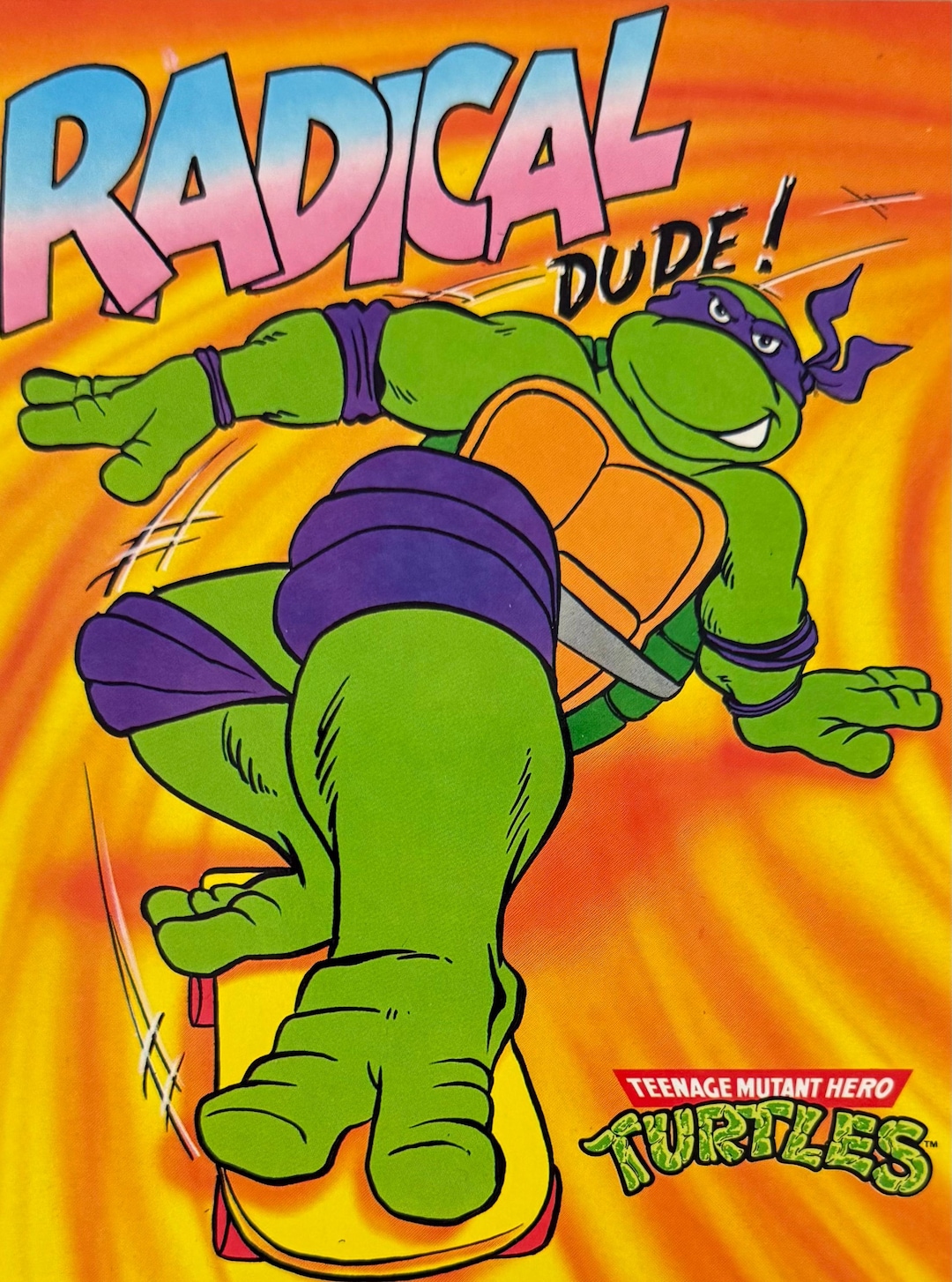 Teenage Mutant Hero Turtles, Radical Dude, TMNT, Ninja Turtles, 1990 ...