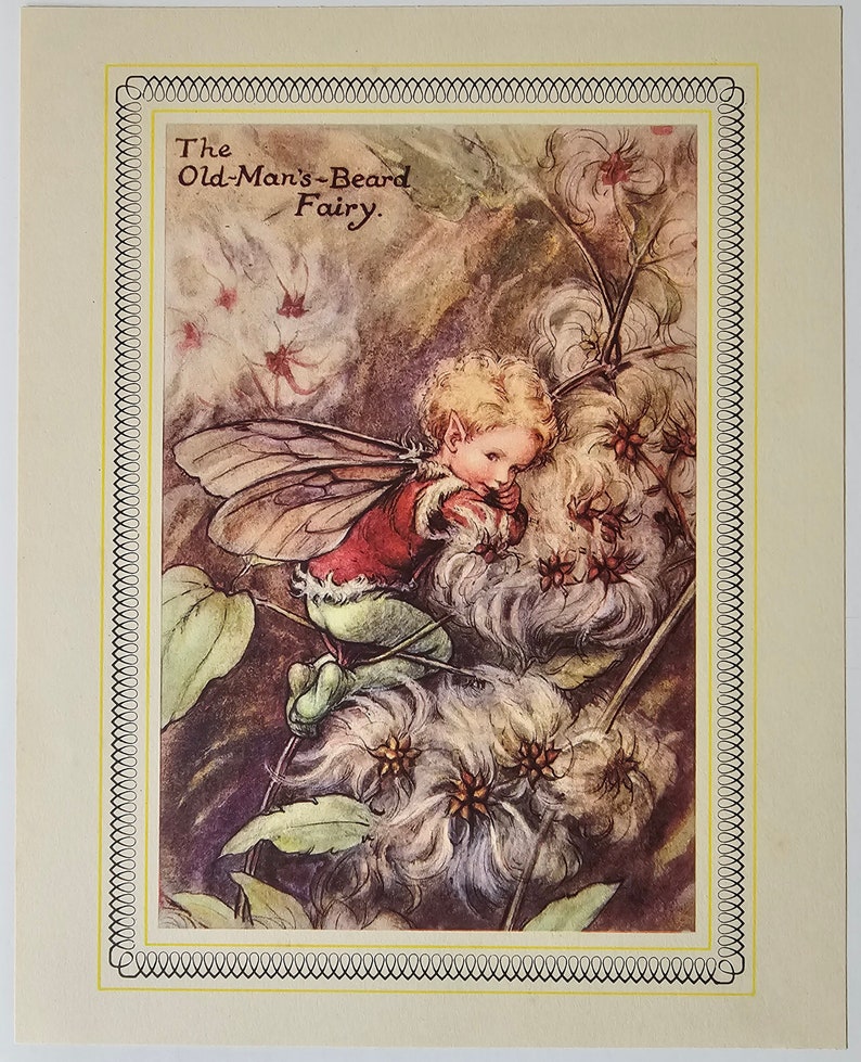 Flower Fairies, Cicely Mary Barker, Old Mans Beard Fairy, Fantasy Art ...