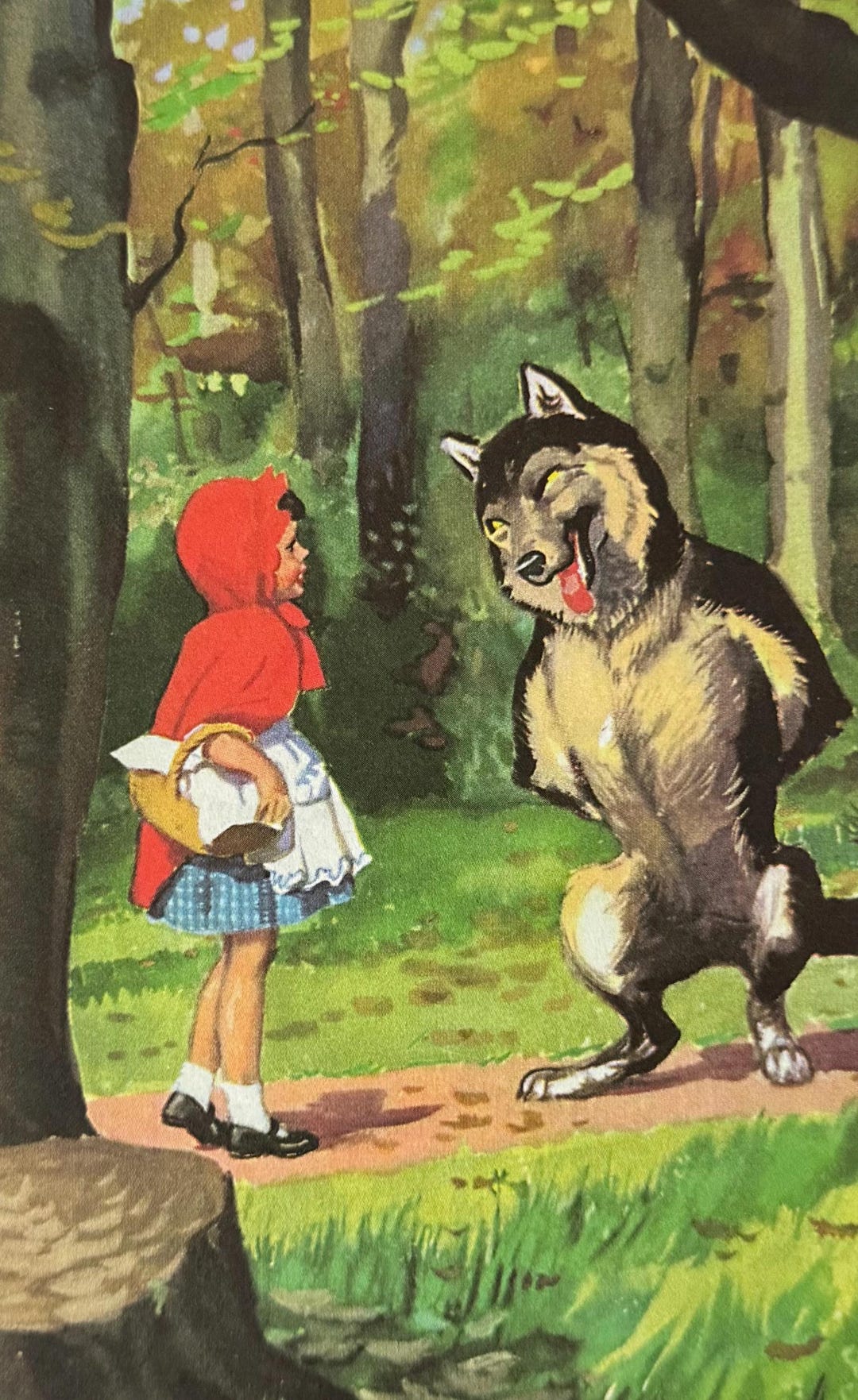 Little Red Riding Hood Meets the Big Bad Wolf, 2000’s Vintage Book ...