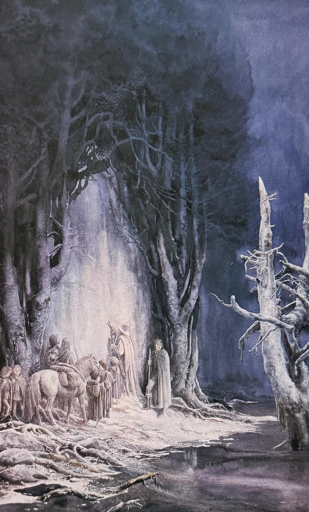 Tolkien, Lord of the Rings, the Hobbit, Fantasy Art, Gandalf, Frodo ...