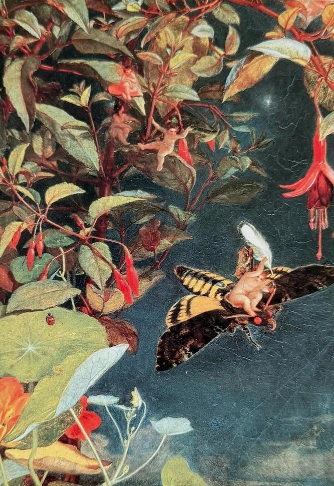 Fairies, the Midsummer Fairies, Fantasy Art, 1994 Vintage Postcard - Etsy