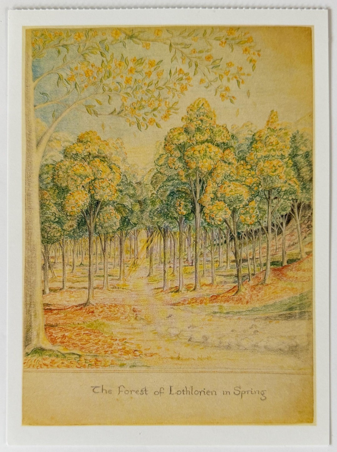 Tolkien, Lord of the Rings, Hobbit, the Forest of Lothlorien in Spring ...