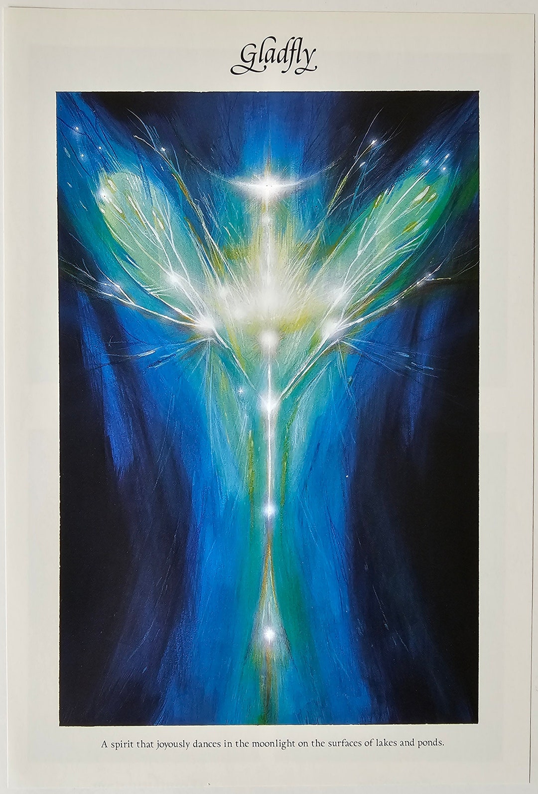 Brian Froud, Faeries, Fairy, Faries, Gladfly, Fantasy Art, 2000 Vintage ...