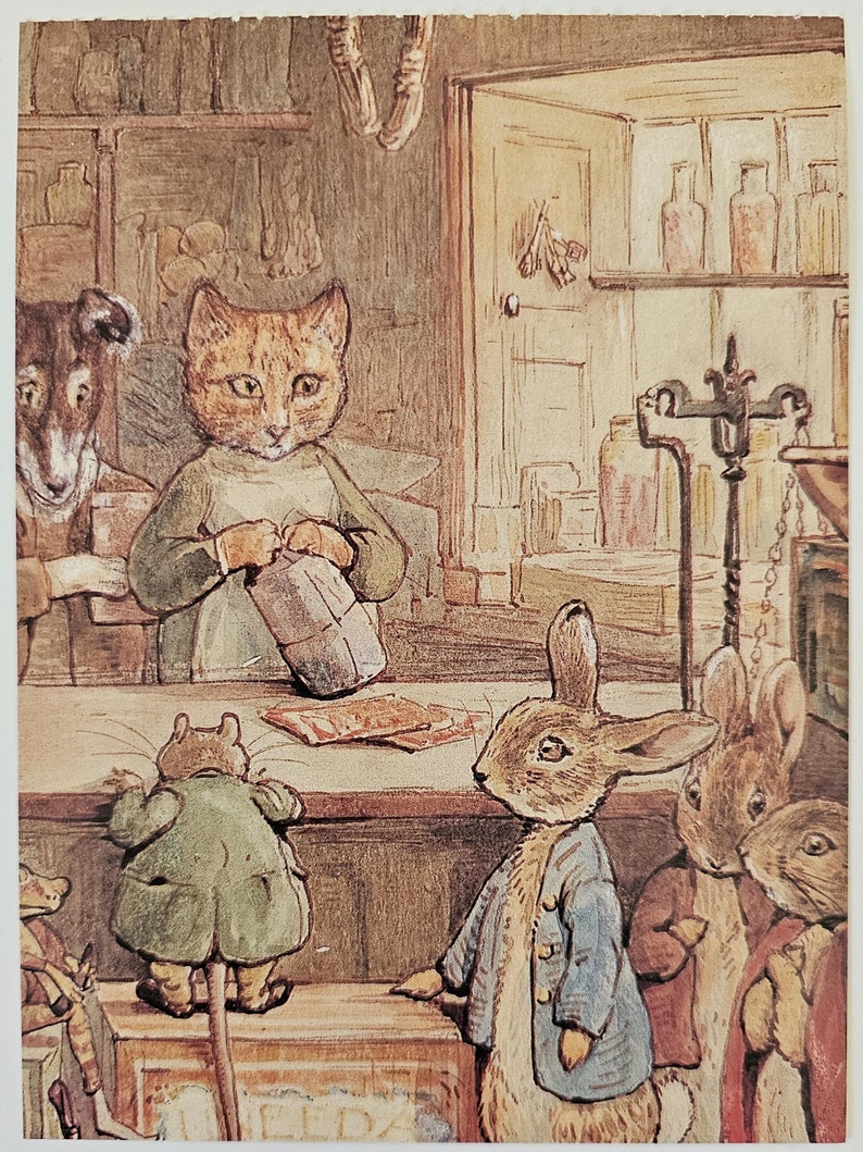 Beatrix Potter, the Tale of Peter Rabbit, Cat, Dog, Shop Counter, 1991 ...