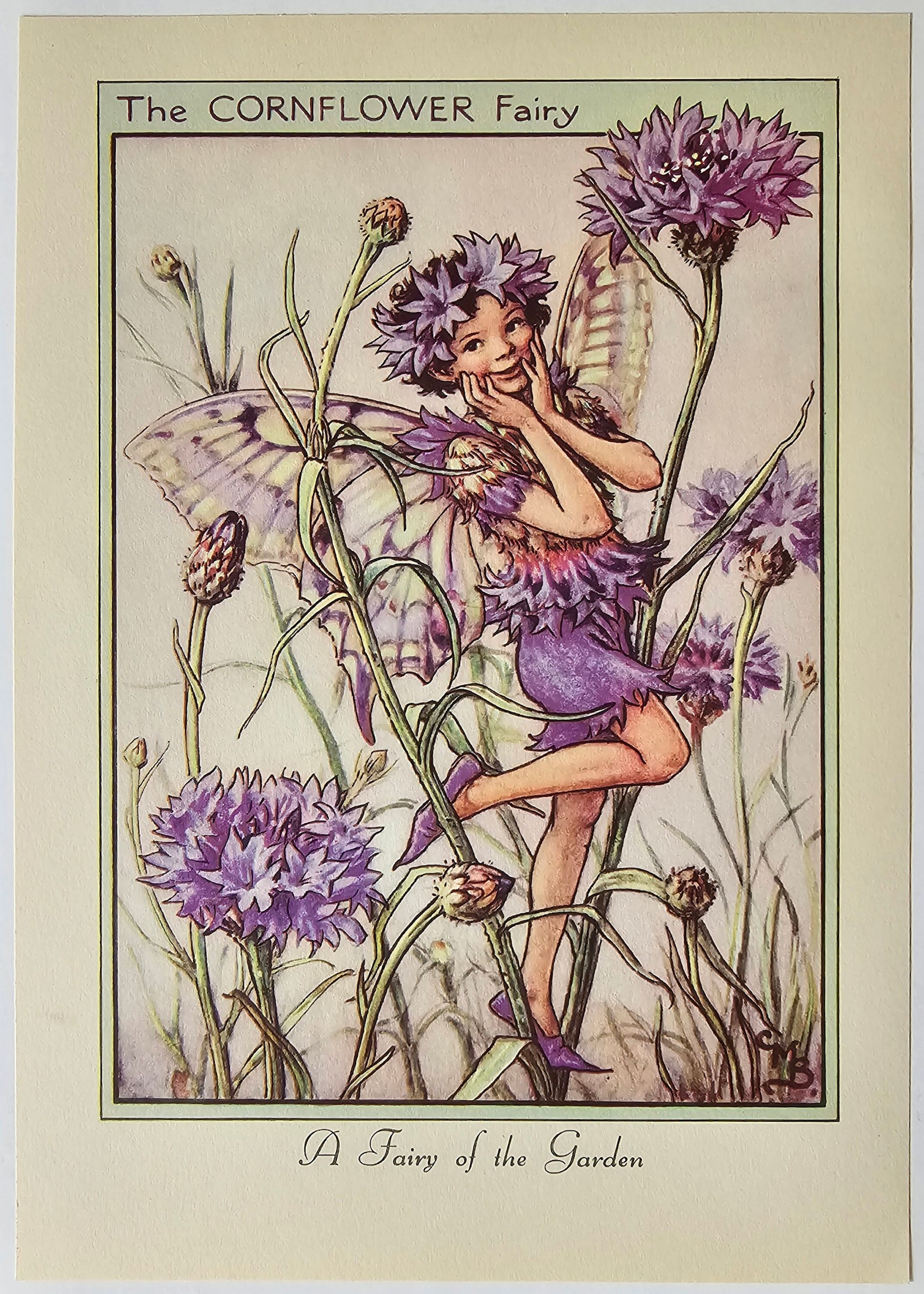 Flower Fairies, Cicely Mary Barker, the Cornflower Fairy, Fantasy Art ...