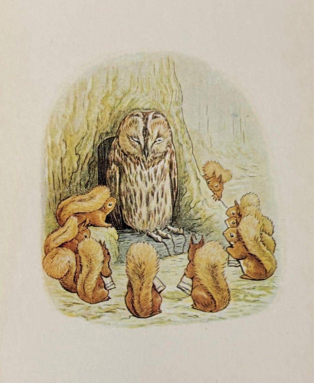 Beatrix Potter, the Tale of Squirrel Nutkin, Owl, 1990 Vintage Postcard ...