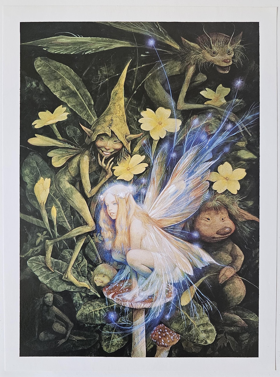 Brian Froud, Faeries, Fairy, Faries, Fantasy Art, 2000 Vintage Book ...