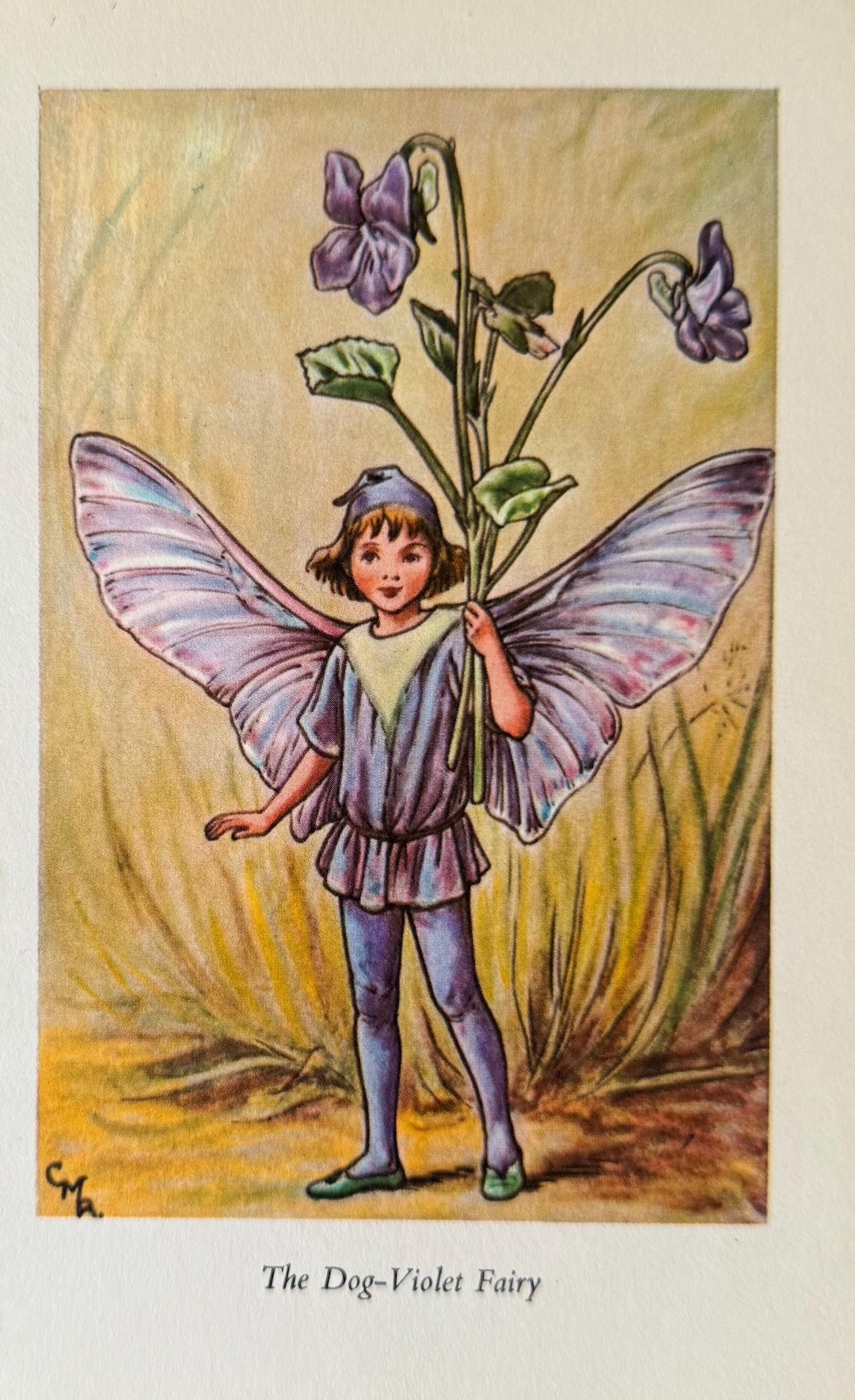 Flower Fairies, Cicely Mary Barker, the Dog Violet Fairy, Fantasy Art ...
