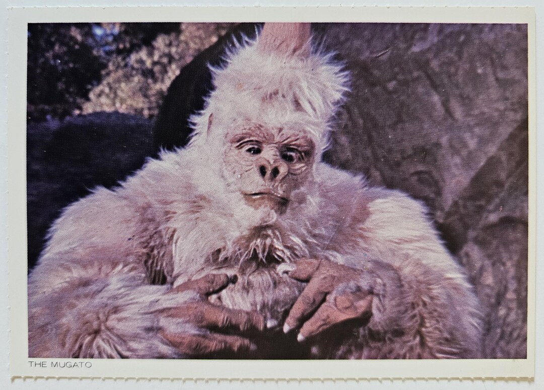 Star Trek, the Original Series, Mugato, Monster, Science Fiction, 1977 ...