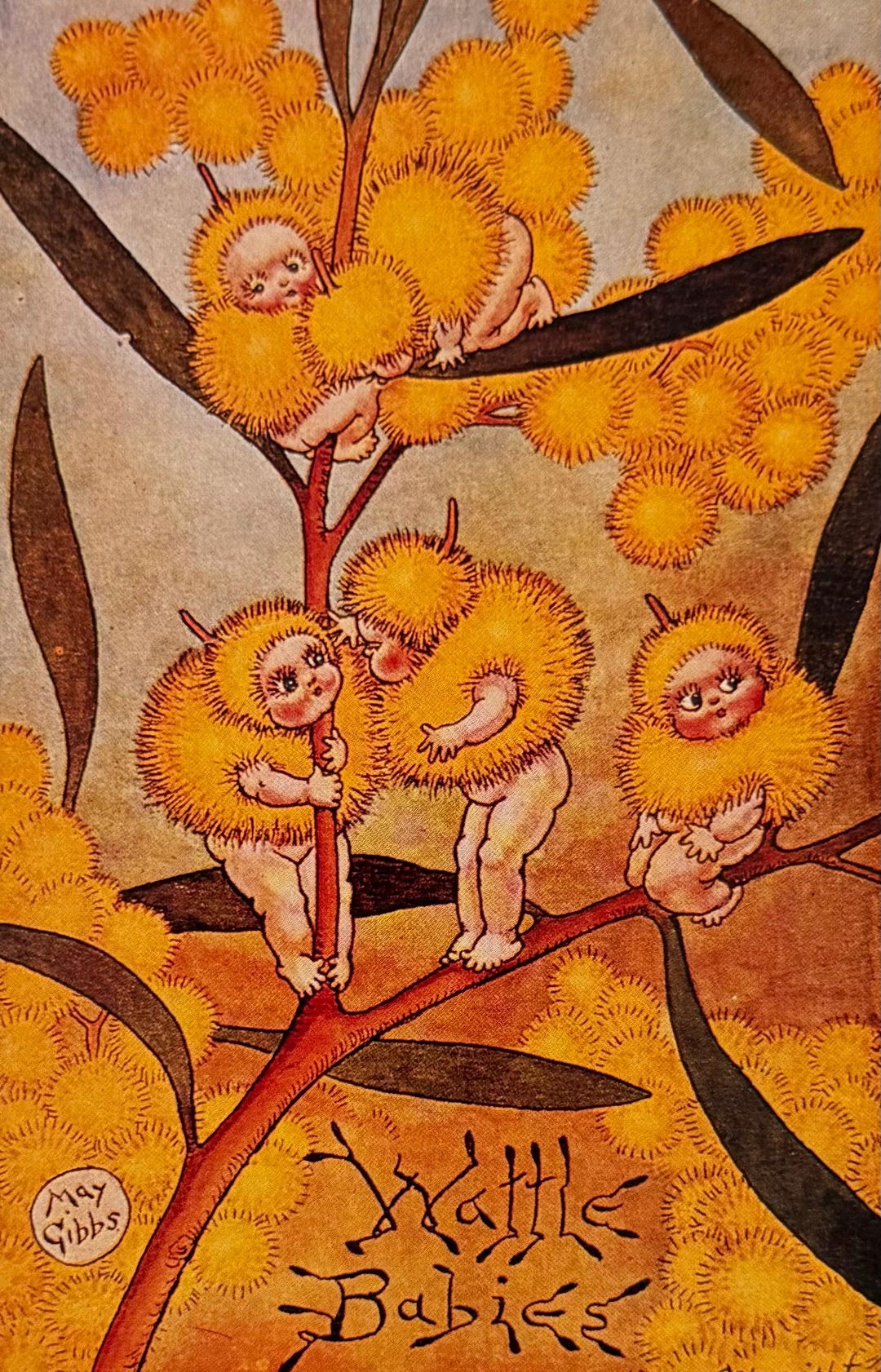 Gumnut Babies, May Gibbs, Australian Bush Characters, Wattle Babies ...